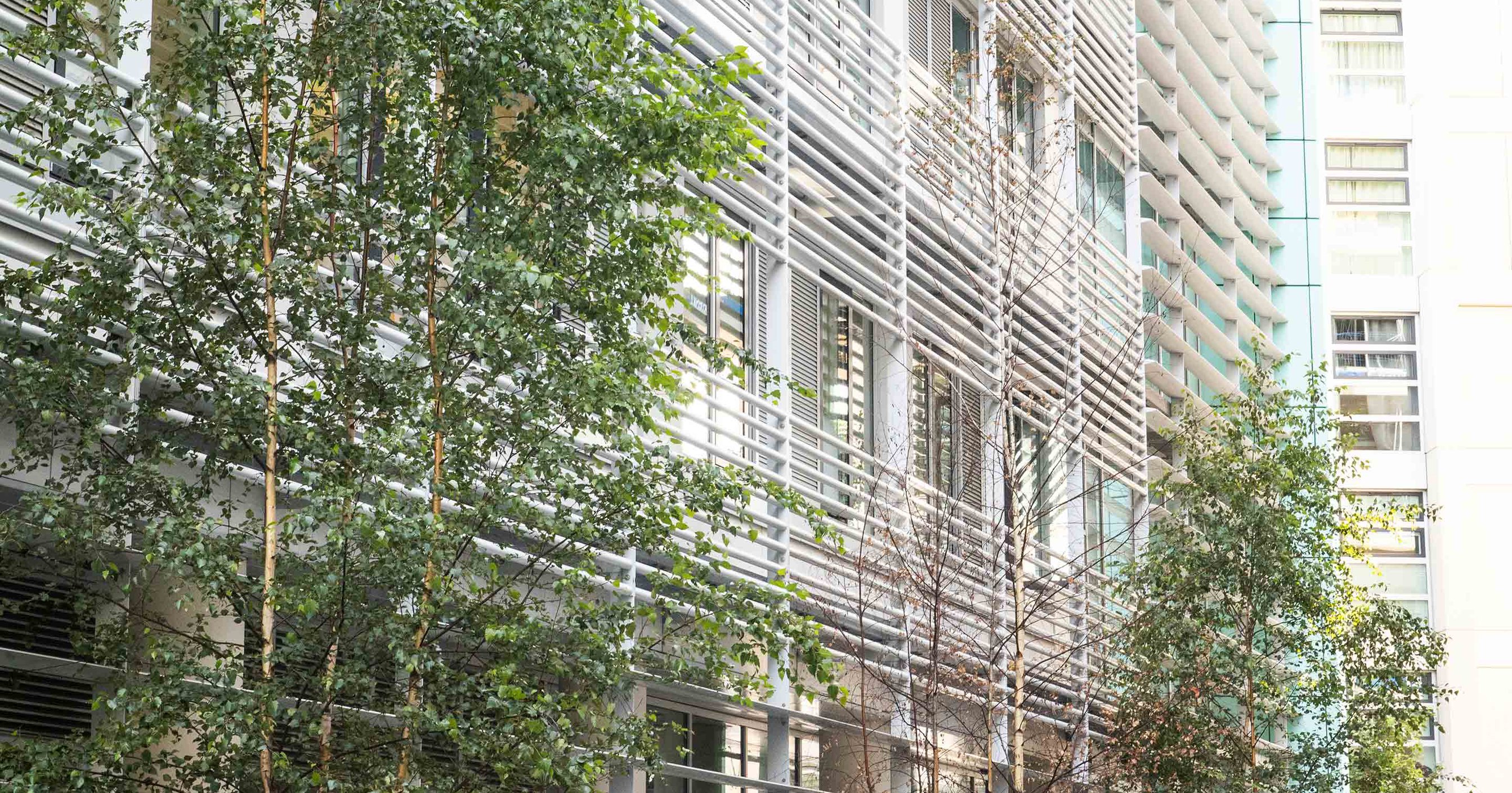 The FIlaments | Mount Anvil